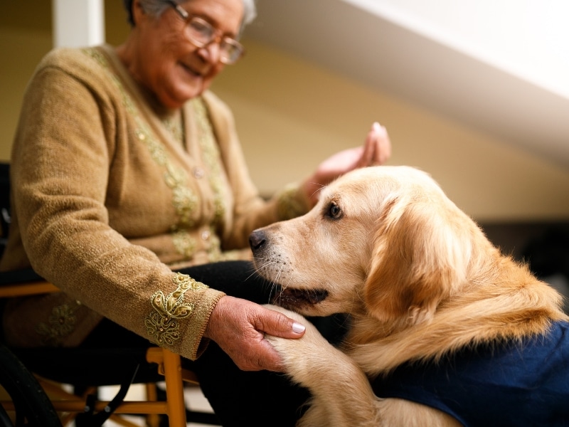 5 Ways Dogs Boost Your Wellbeing & Mental Health